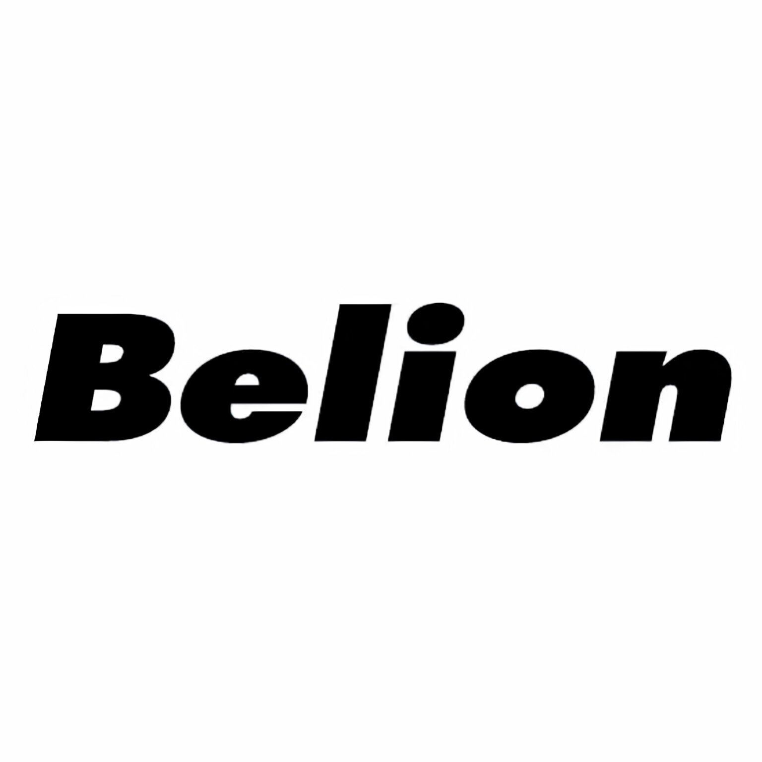 Belion Service - Werks-Kundendienst